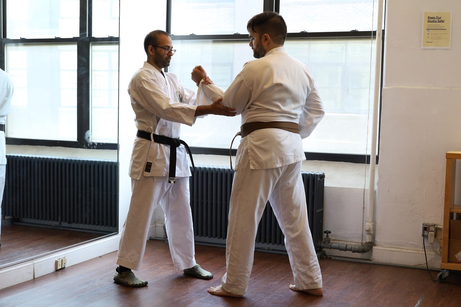 Online Karate Lessons - Megami Dojo